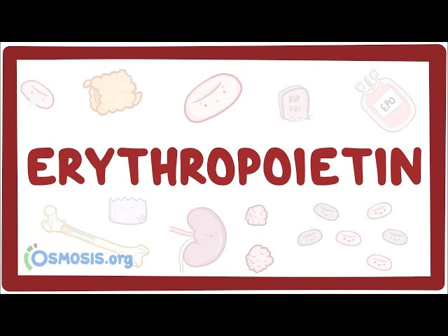 Erythropoietin Injection - Repomia 4000IU INJECTION Wholesale ...