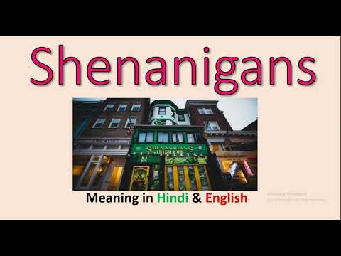 Shenanigans Meaning in Hindi & English