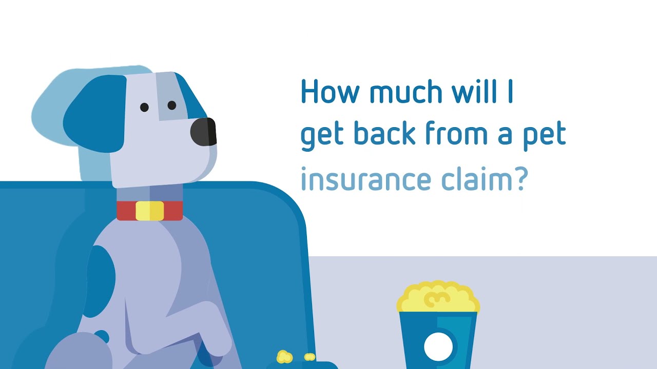 PetSure. For a life with pets