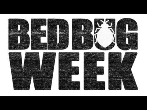 National Bed Bug Awareness Week | Pure Environmental