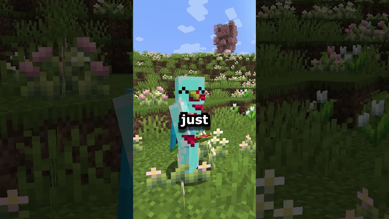 Biomes that would make Minecraft More Colorful!