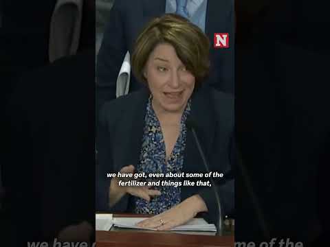 Trump's Tariffs 'Crazy Way' To Handle Canada And Mexico Trade: Klobuchar