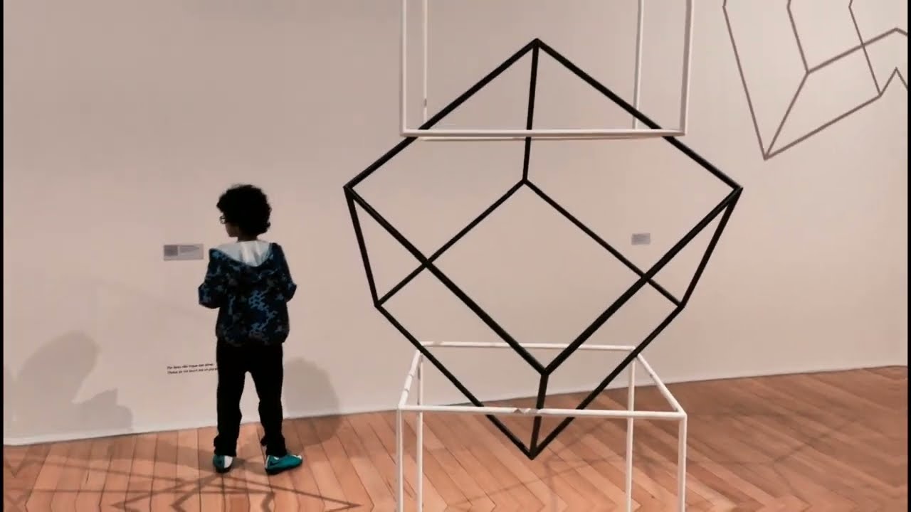 Sérvulo Esmeraldo: Linha e Luz