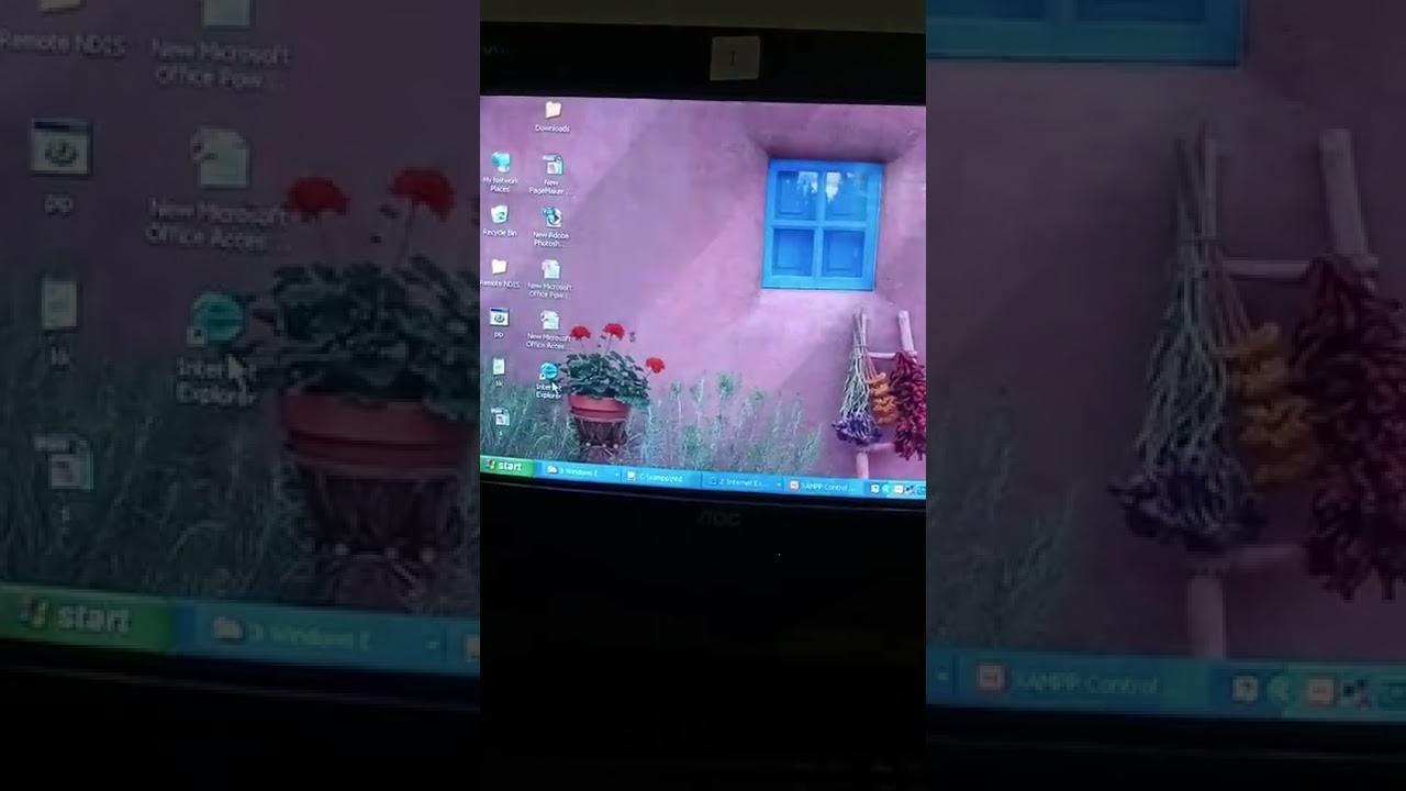 12th Computer Application Practical Program 6|Basic Programming in php|Explain video