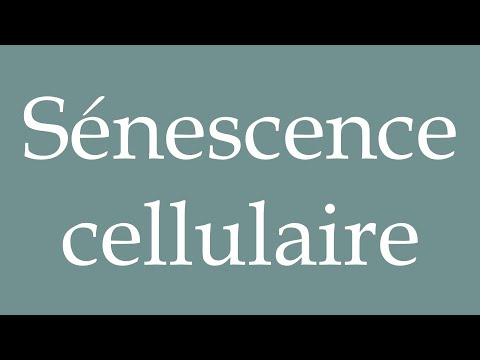 How to Pronounce ''Sénescence cellulaire'' (Cellular senescence) Correctly in French