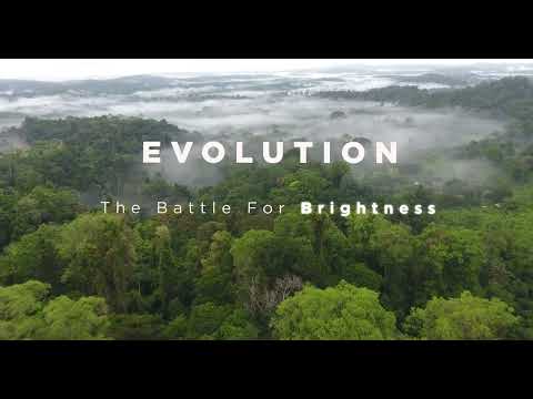 EVOLVE: The Battle for Brightness