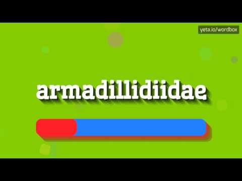 ARMADILLIDIIDAE - HOW TO PRONOUNCE IT!?