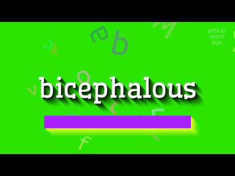 How to say "bicephalous"! (High Quality Voices)