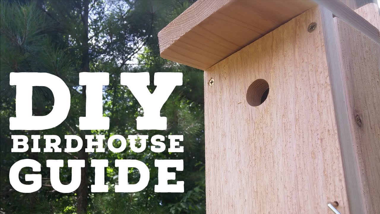 How to Assemble the Birds Choice House Wren Nest Box Kit Bird House