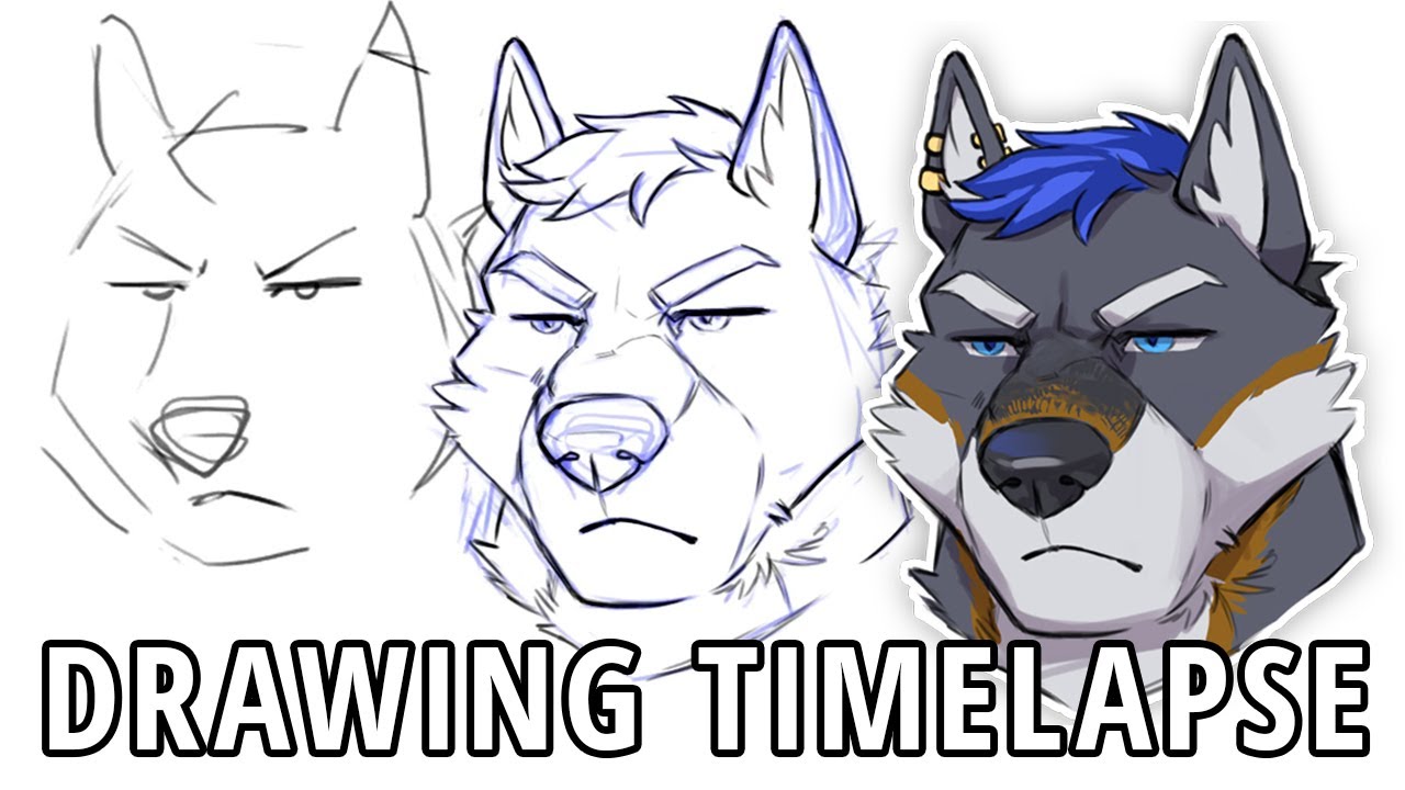 Wolf Reference Sheet Drawing Timelapse