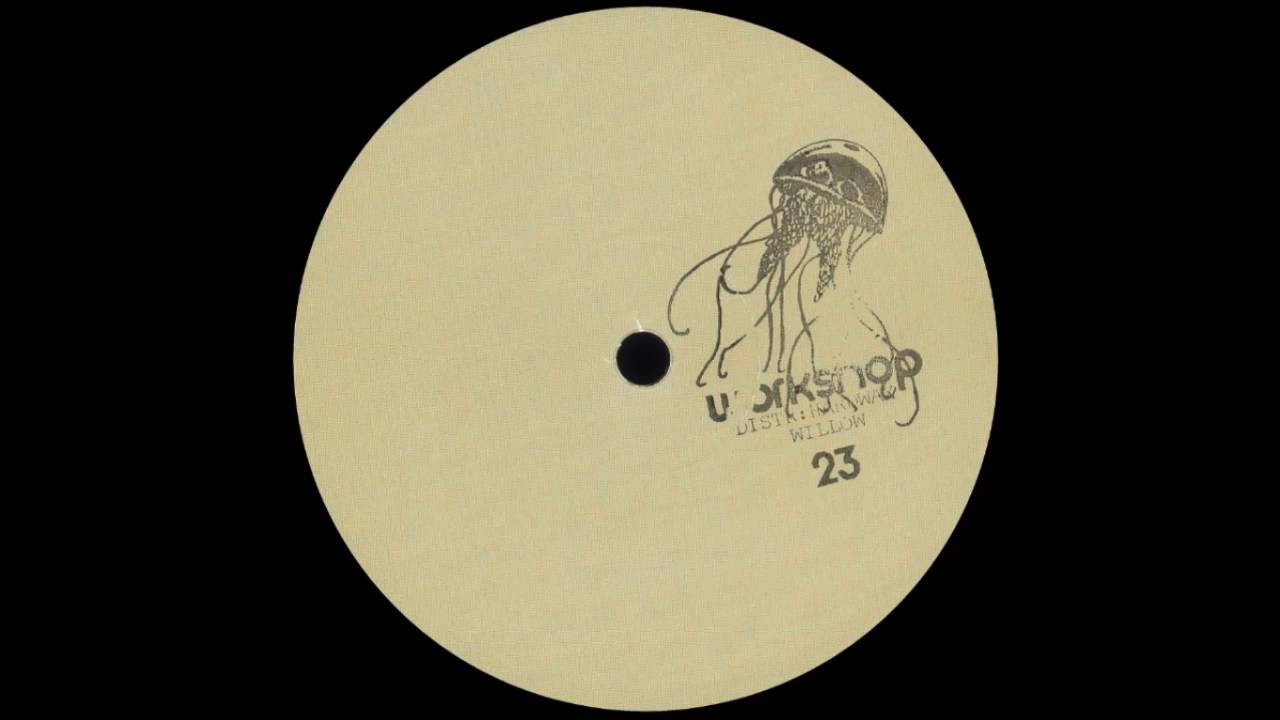 Willow - Untitled A2 (Workshop 23)