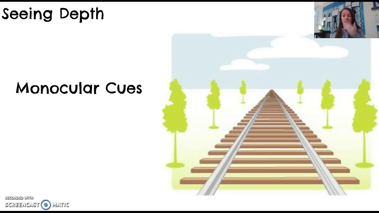 Visual Perception - AP Psych