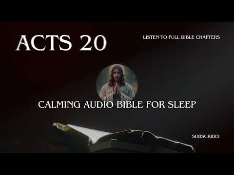 Acts 20 - Book of Acts Audio Bible from New International Version (NIV).