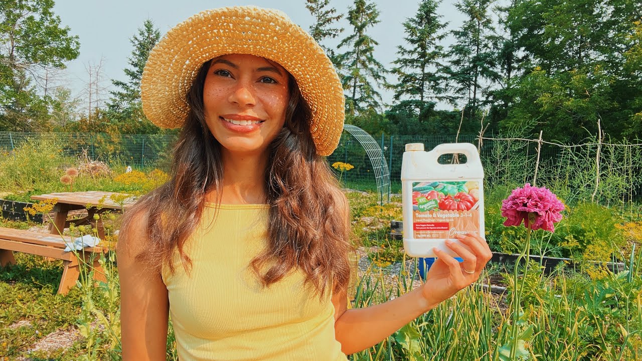 Fertilizer 101 | Everything you need to know about fertilizing your garden