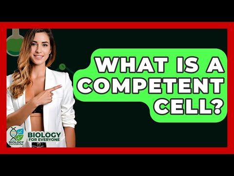 What Is A Competent Cell? - Biology For Everyone