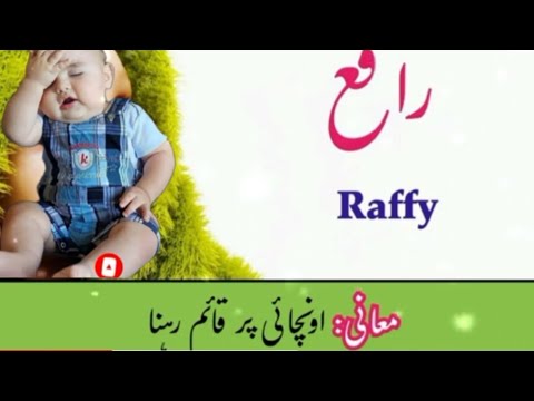 Rafe name meaning matlab || boys lucky name || Best names for 2024||best Islamic name