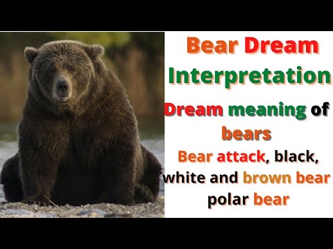 What does it mean when you dream about a bear?Dream interpretation running bear attacking English