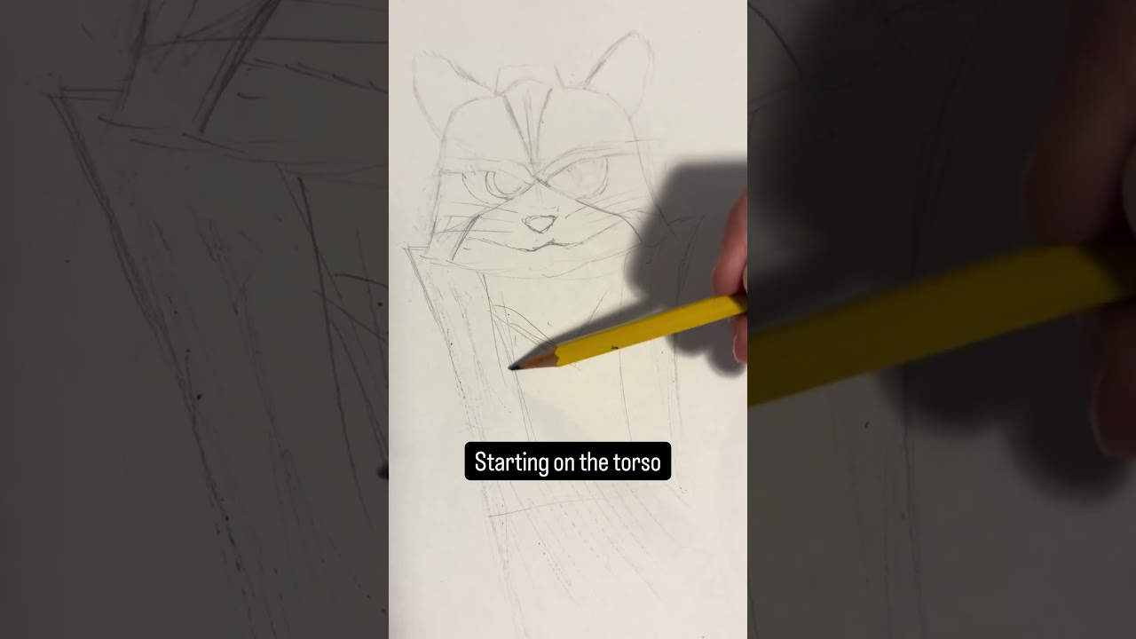 Star Fox Drawing Process Part 1