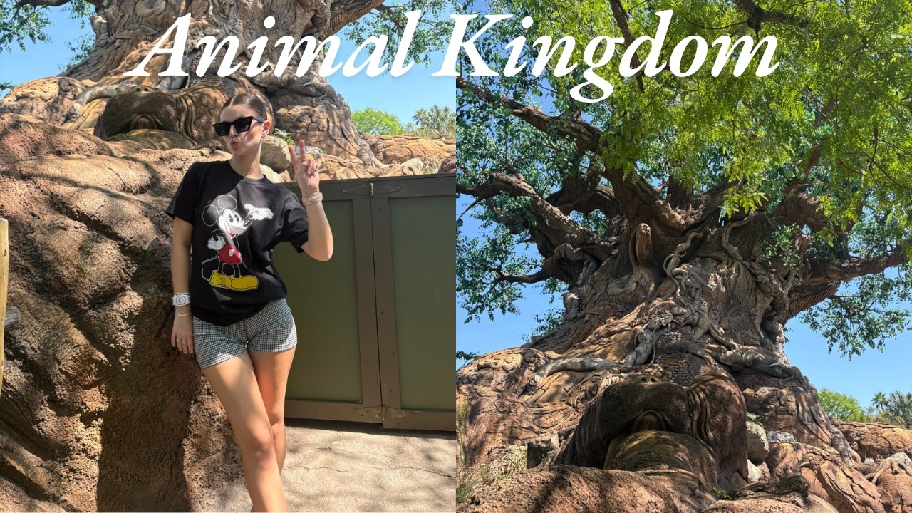 Animal Kingdom ft. Lots of Pins