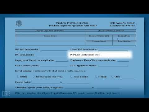 How to Complete the PPP Loan Forgiveness Application Form 3508EZ