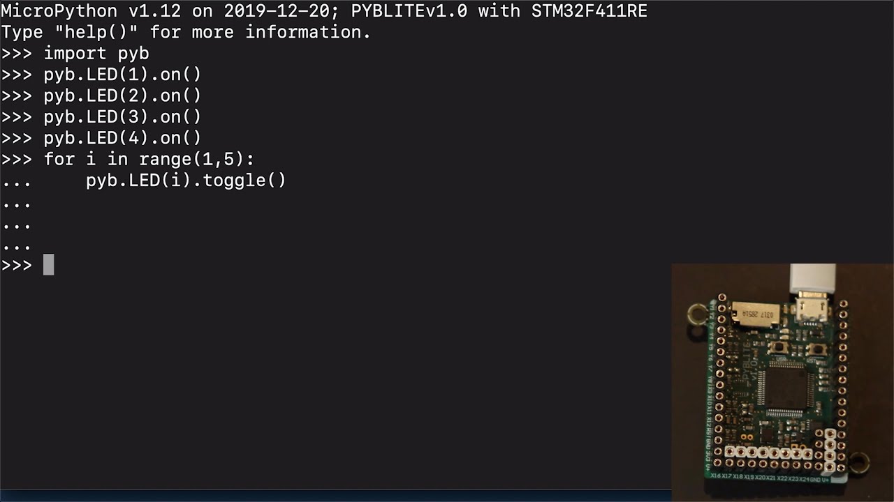 Using the Python REPL With a MicroPython Hardware