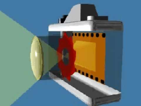 How film cameras work