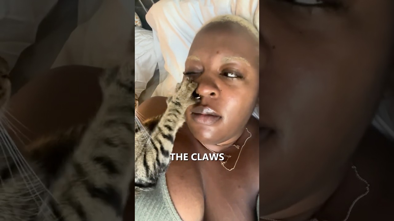 Kitty Claws Her Face 😂
