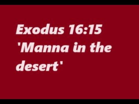 Exodus 16, Manna: Bread from Heaven, Catholic Bible Study, Exodus, Fr. Tim Peters