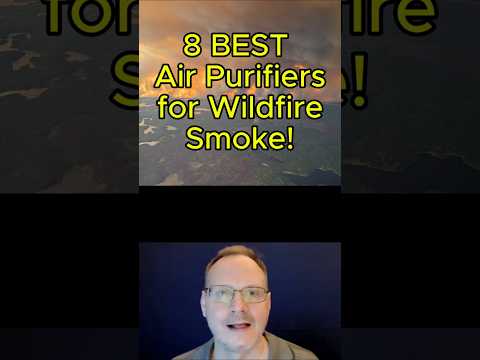 Best Air Purifiers for Wildfire Smoke You Need in 2025!
