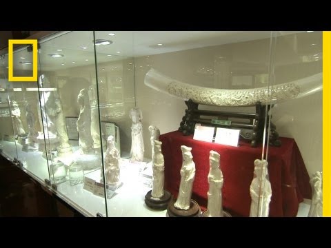 Episode 3: The China Ivory Market | Battle for the Elephants