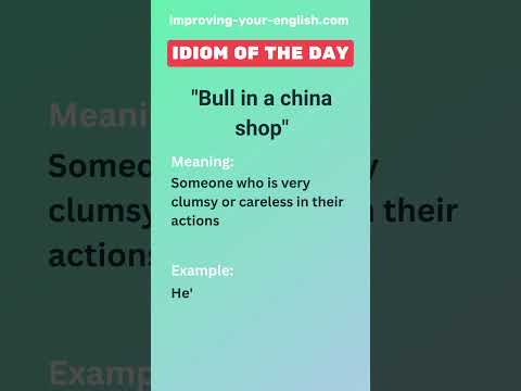Bull in a china shop - Idiom of the Day