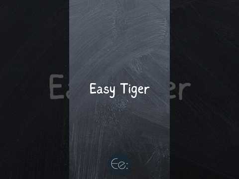 Easy Tiger 🐅 What Does It Mean? by English explained #phrases #expression #slang #meaning #tips