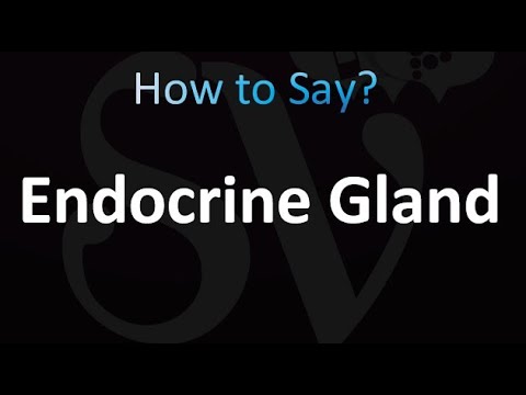 How to Pronounce Endocrine Gland (correctly!)