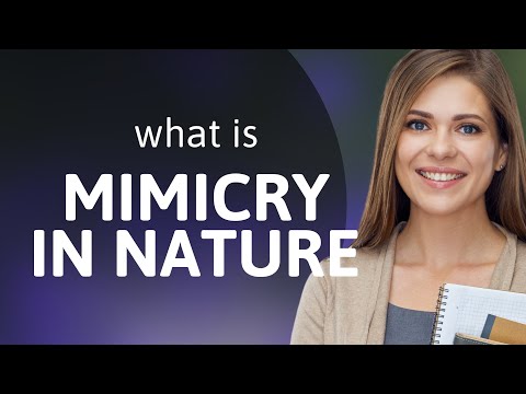Mimicry in Nature: The Art of Camouflage and Survival