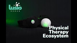 Lusio Rehab the home of LusioMATE | Disability Support Guide