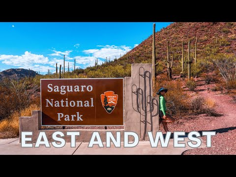 Hiking in Saguaro National Park Before the Heat Cooks Us