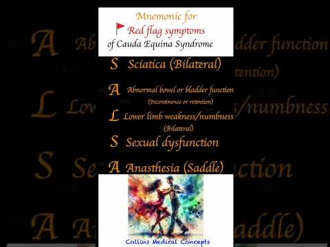 SALSA = Cauda Equina Red Flags | Medical Mnemonic