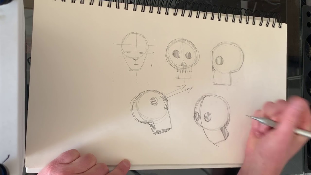 Head Proportions Exercise