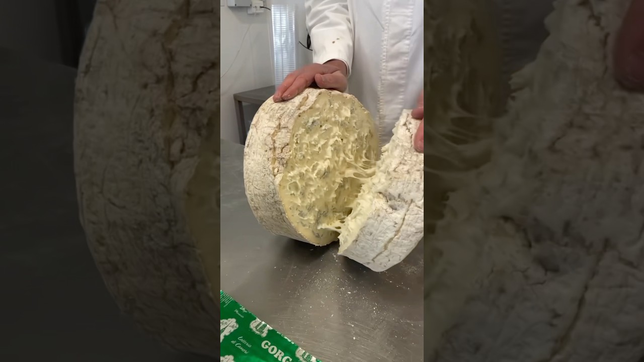 Do you like GORGONZOLA?