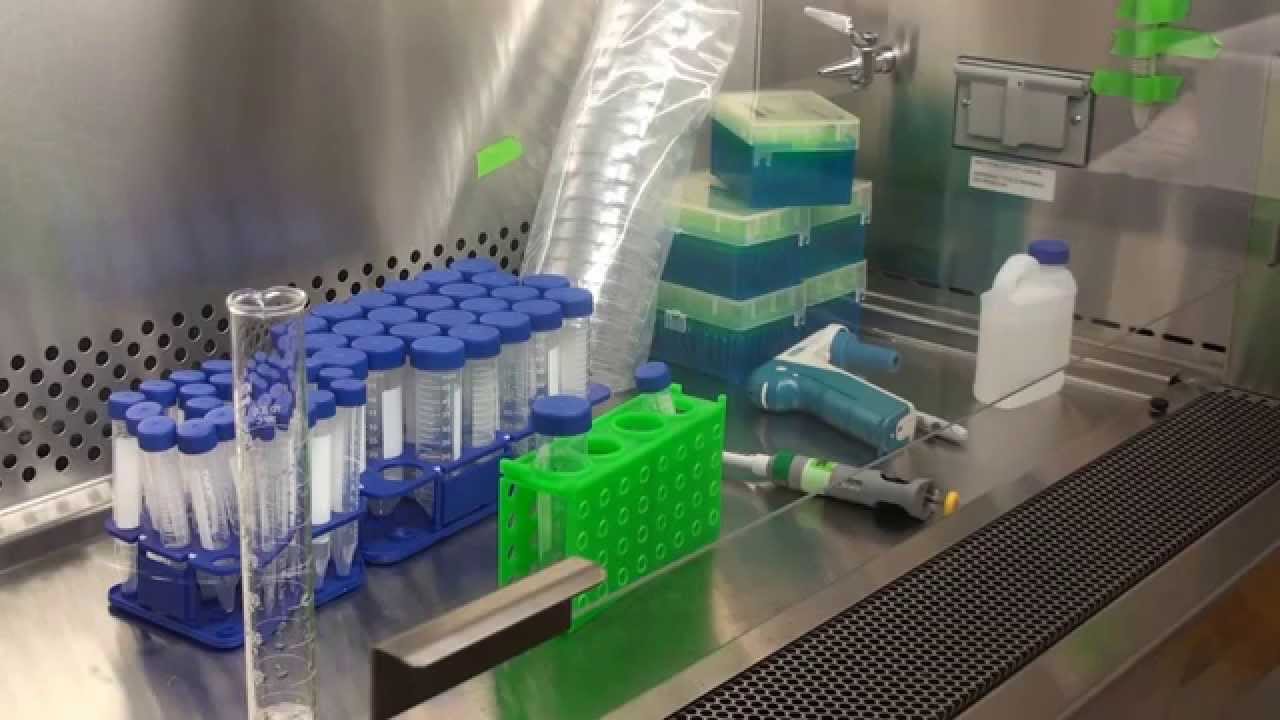 BioE 498 Day 2, Lab 2