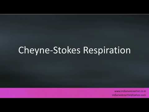 Pronunciation of the word(s) "Cheyne-Stokes Respiration".