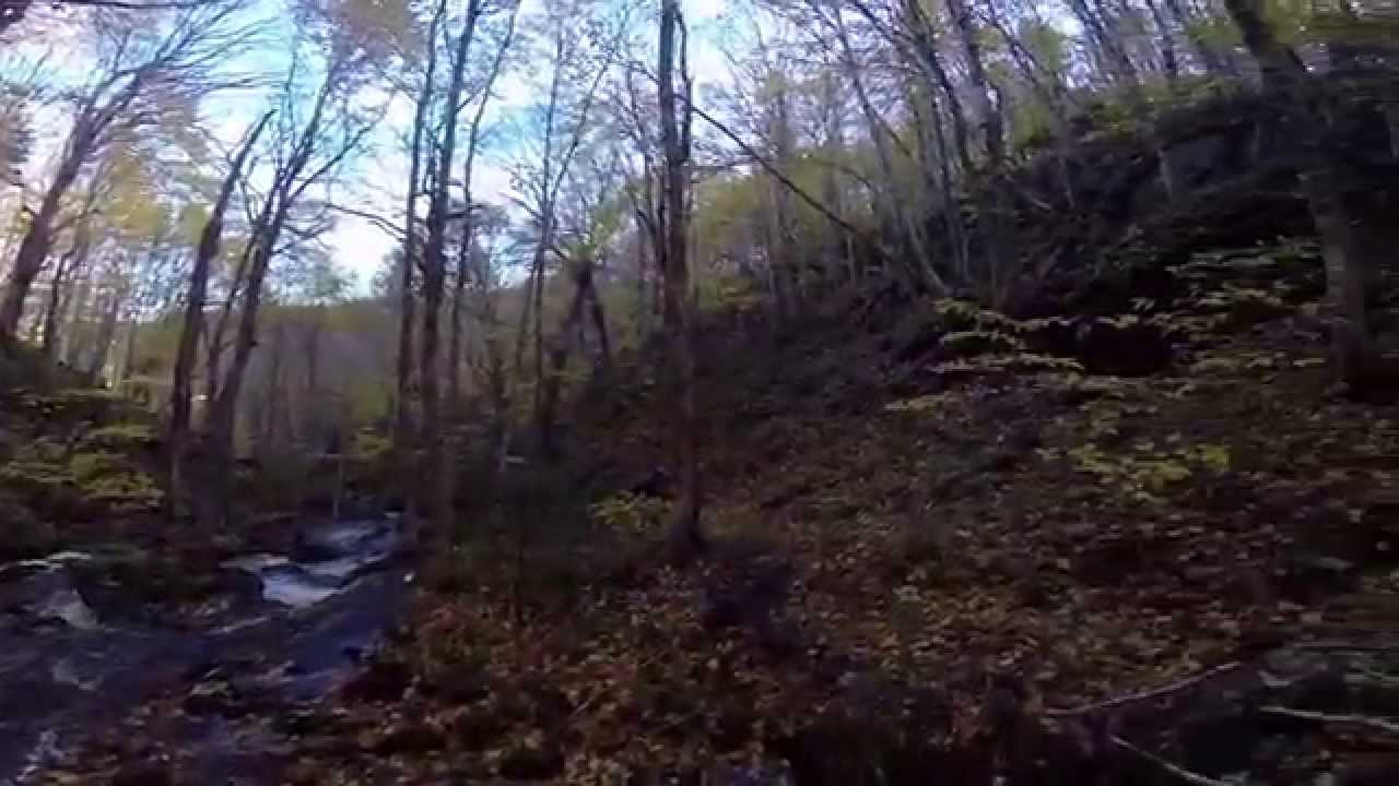 Doctors Brook Fall, Nova Scotia