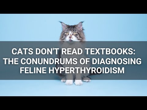 Cats Don't Read Textbooks: The Conundrums of Diagnosing Feline Hyperthyroidism