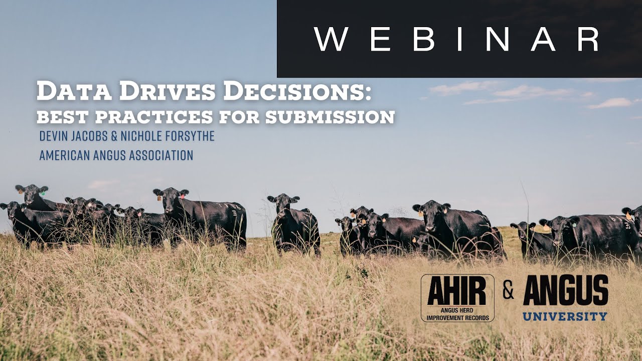Data Drives Decisions: Best Practices for Submission | WEBINAR - Mar. 25, 2025