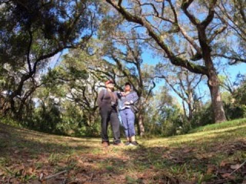 Washington Oaks Gardens State Park | Flagler County | Florida ๐บ๐ธ | January 2025