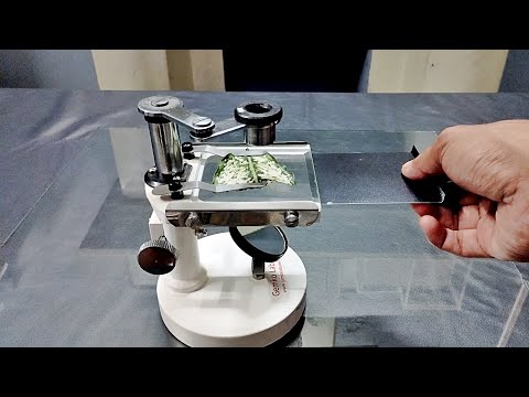 Dissecting Microscope - Stereoscopic Dissecting Microscope Latest Price ...