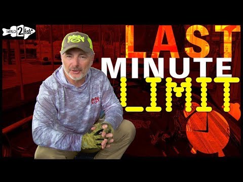 3 Baits to Fill Your Bass Limit