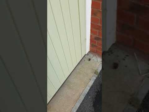 Redrow New Build - External garage door, drainage pipes and bowed fences