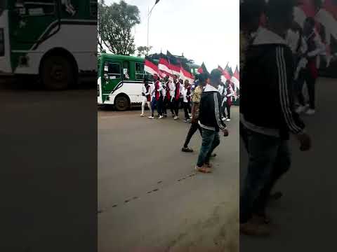 faajjii abbaa gadaa(2)