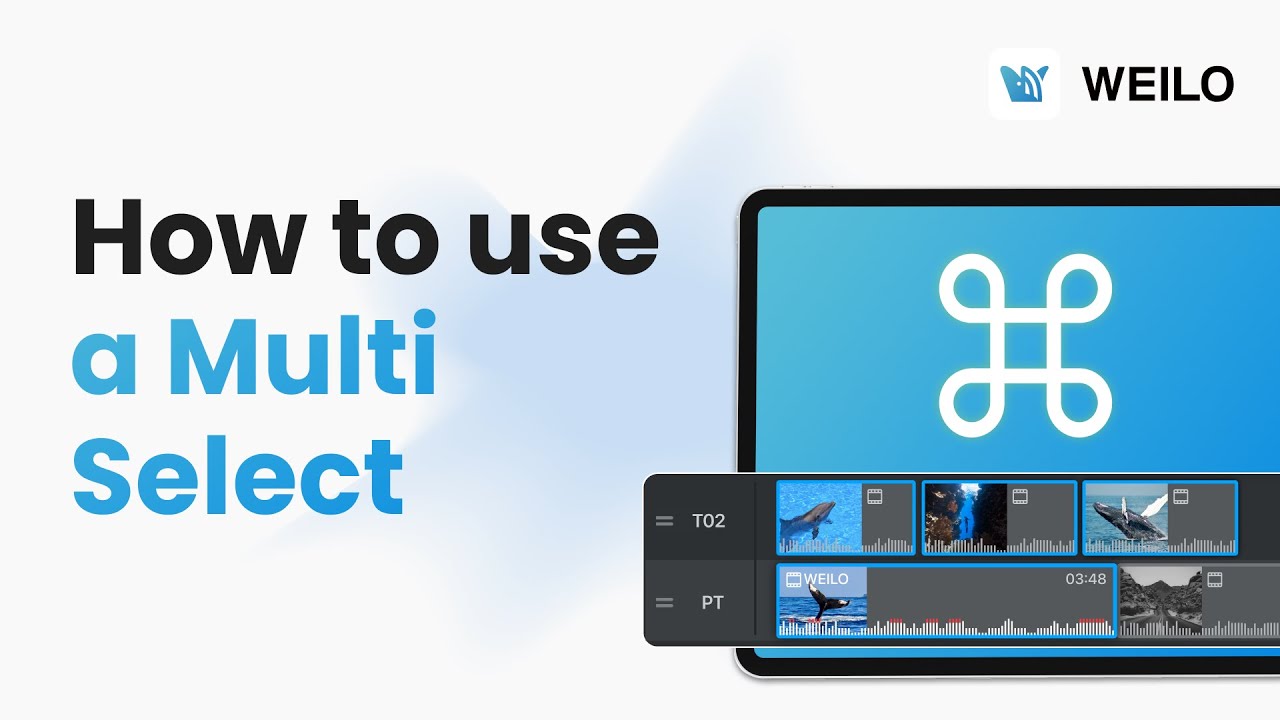 How to use a Multi Select | Basic Tutorial 03
